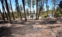 Real Estate Auctions - Government Seized & Forfeited Property Auctions